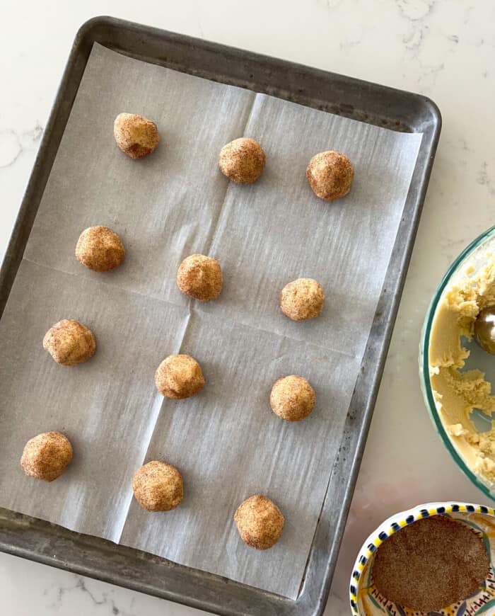 Easy Homemade Snickerdoodles Recipe | Picky Palate
