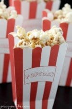 Snickerdoodle Popcorn with White Chocolate Drizzle | Picky Palate