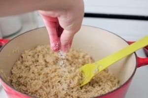 Swiss N' Chicken Rice Bake - Picky Palate - Baked Chicken and Rice!