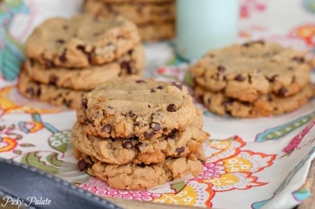 Do-si-do Peanut Butter Chocolate Chip Cookies- Peanut Butter Cookies!