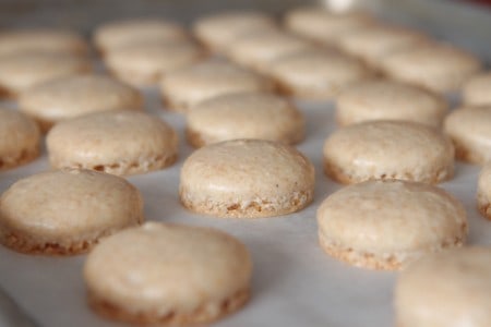 Frosted Flakes Macarons - Picky Palate - BEST Macaron Recipe