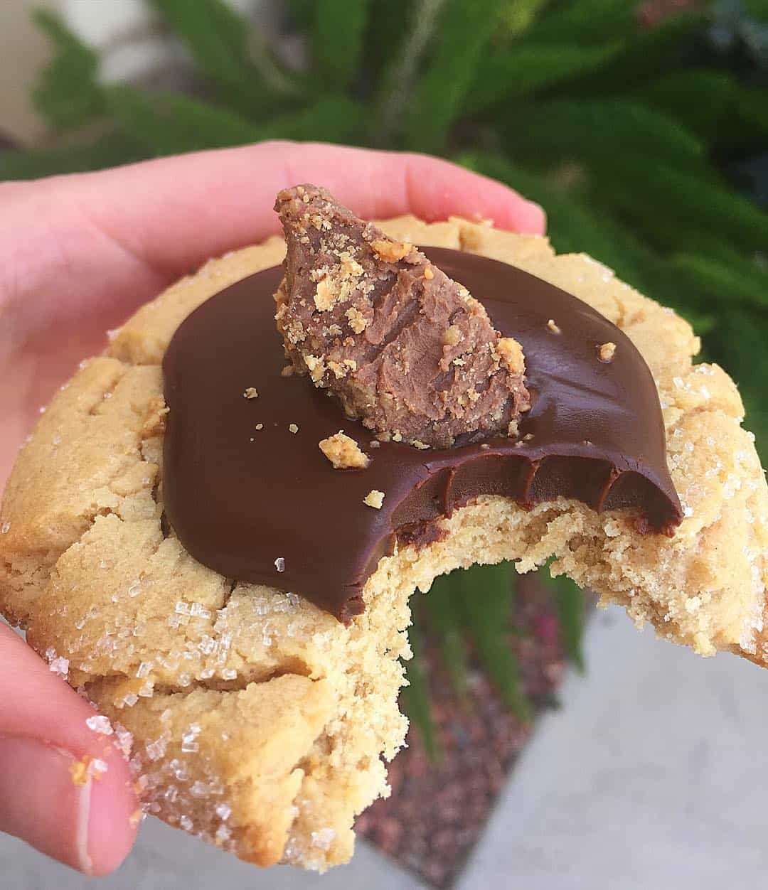 The Best Places To Eat In Arizona - Picky Palate