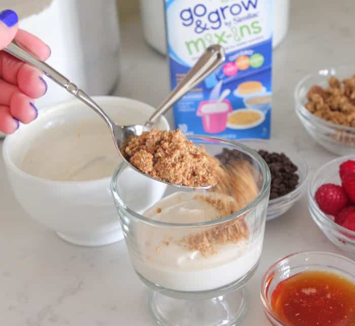 Chocolate Raspberry Yogurt Parfait Recipe | The Picky Palate