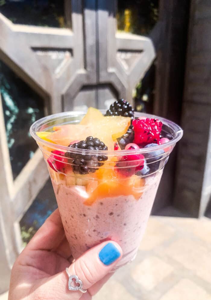 Ronto Roasters Review Star Wars Galaxy's Edge - Picky Palate