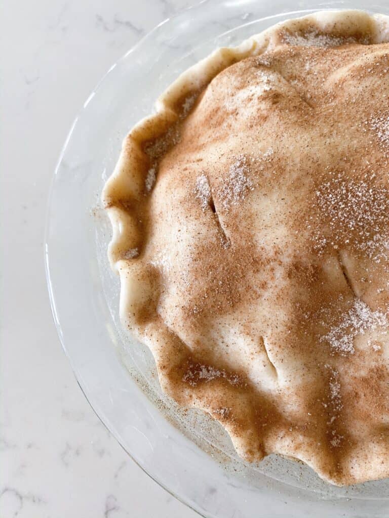 Homemade Apple Pie Recipe - BEST Apple Pie From Scratch!