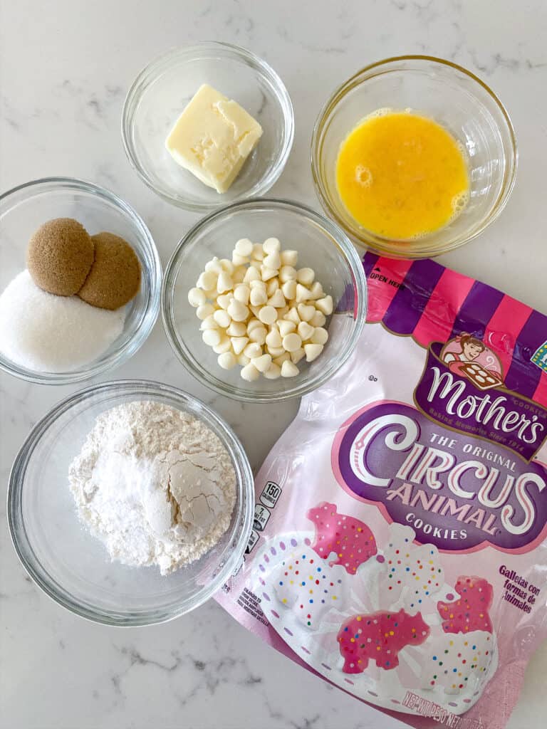 Animal Cookies Cookie - Picky Palate