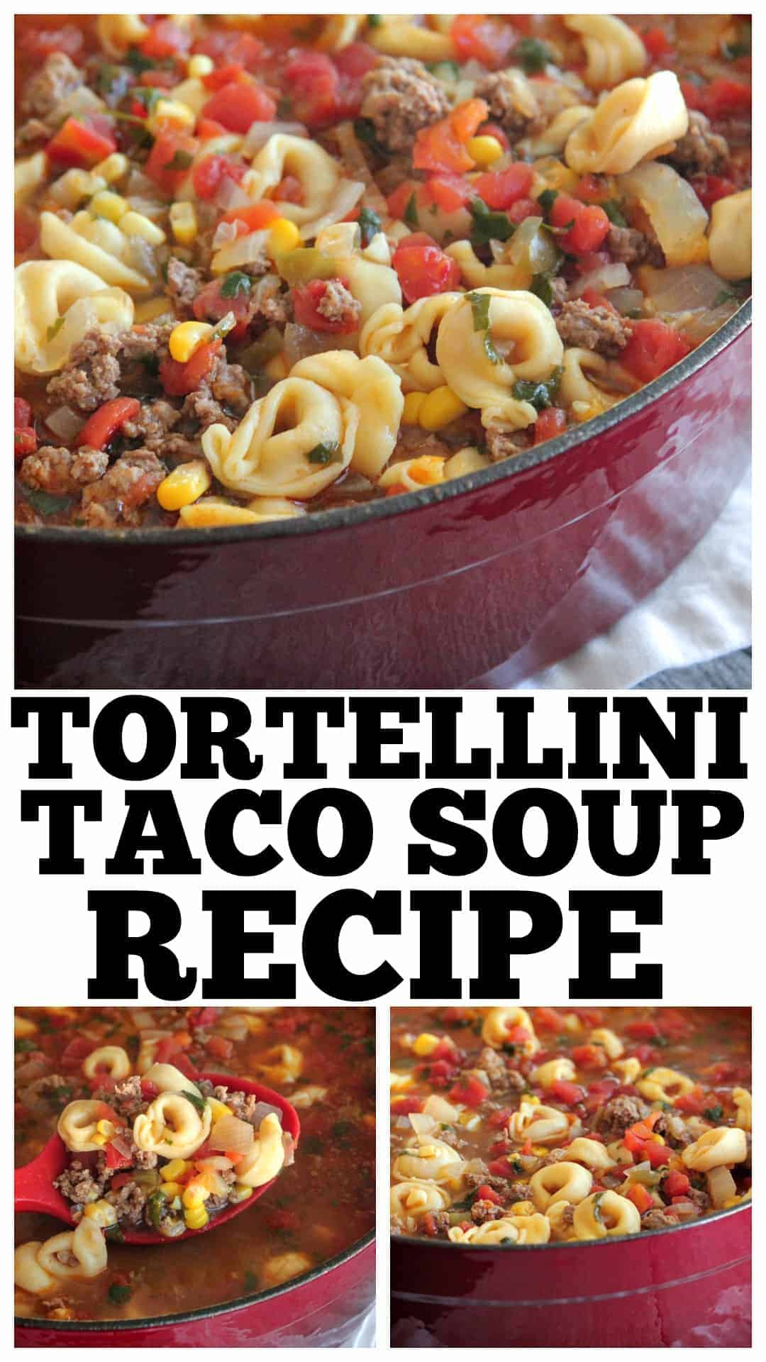 Tortellini Taco Soup - Picky Palate - BEST TACO SOUP RECIPE!