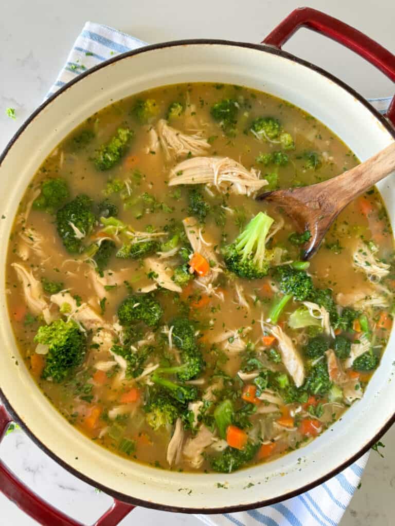 Double Chicken Vegetable Soup - Picky Palate