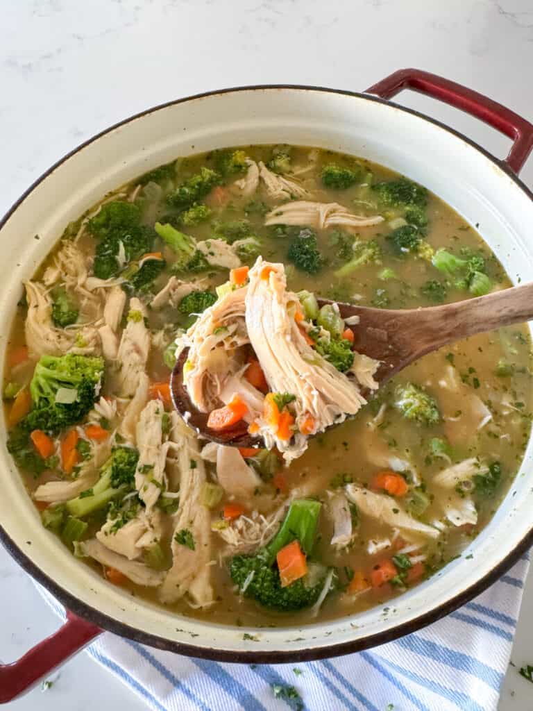 Double Chicken Vegetable Soup - Picky Palate